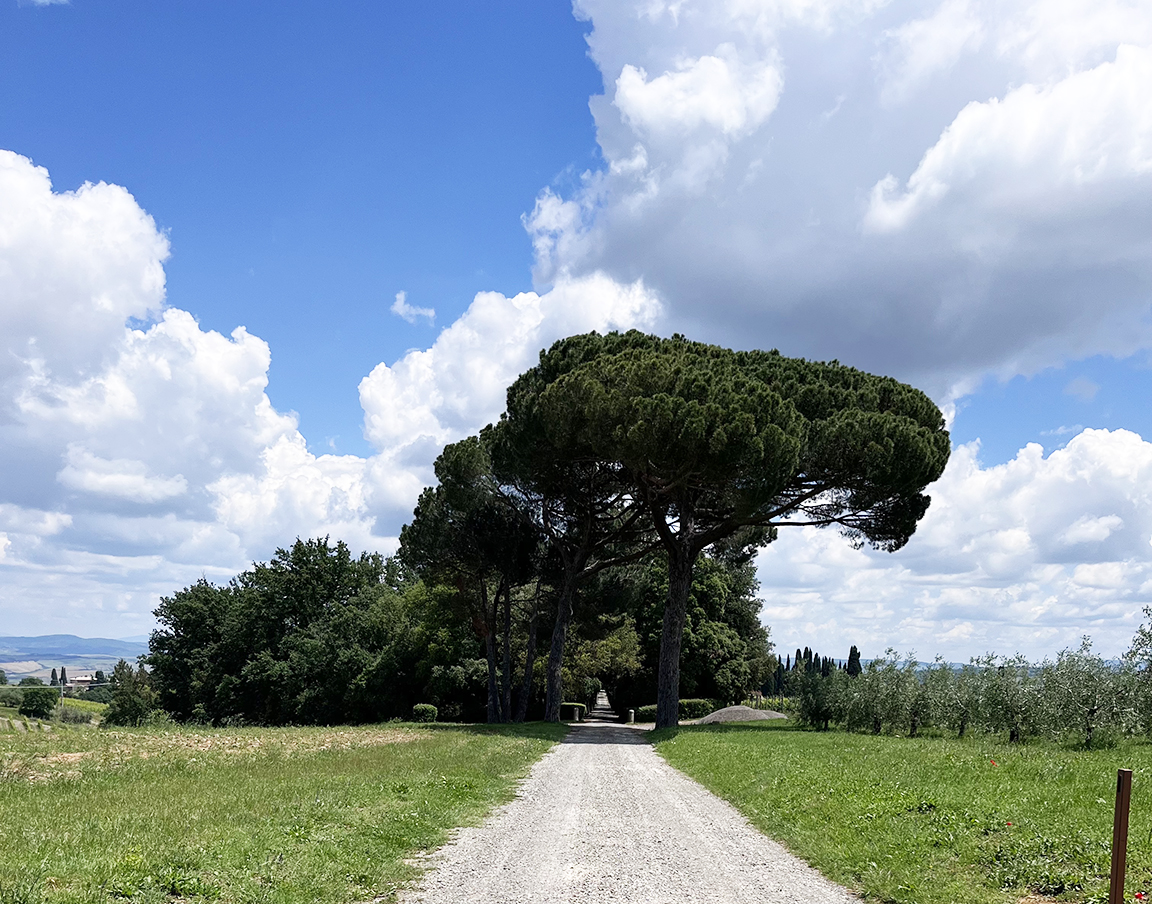 MARISA FINETTI | Biondi-Santi: The wonderment and beauty of wine